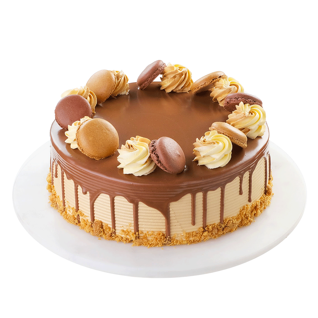 Ultimate Mocha Symphony Cake